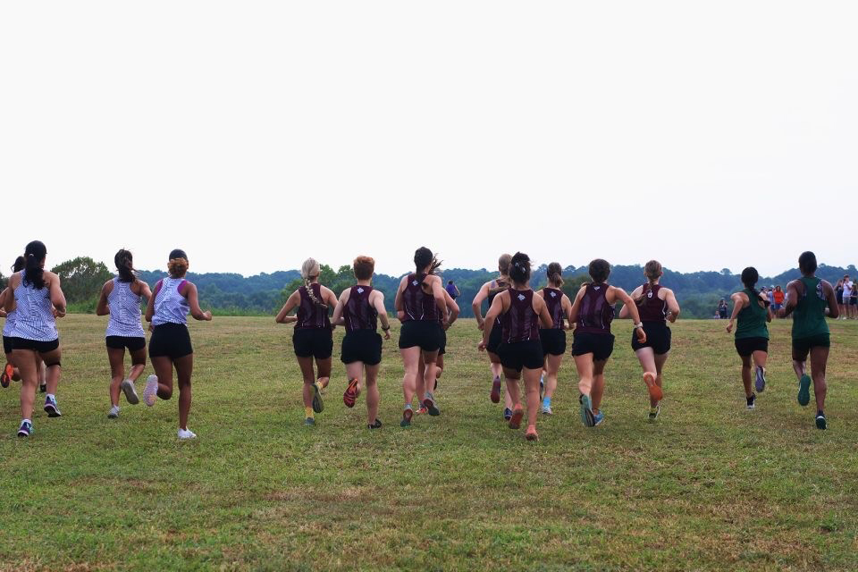All American | Cross Country | CofO Bobcat Athletics